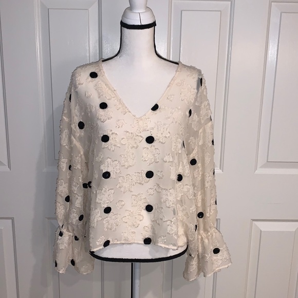 Zara | Tops | Zara Beautiful Polka Dot Sheer Blouse | Poshmark